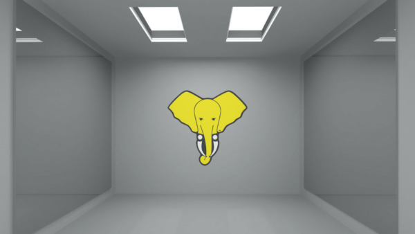 THE YELLOW ELEPHANT – WHAT IS YOUR ELEPHANT?